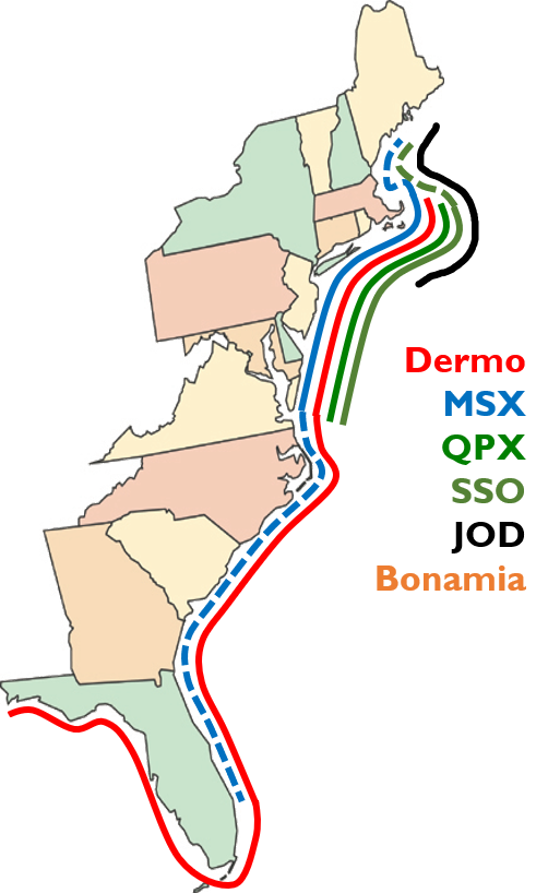 Disease – Regional Shellfish Seed Biosecurity Program